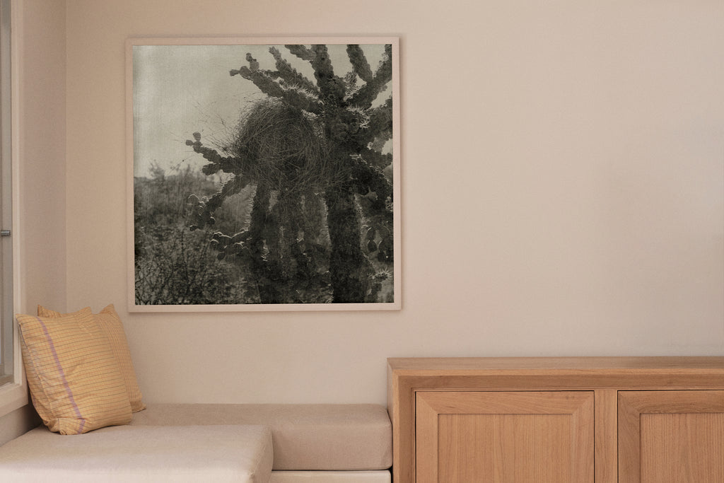 Cacti Series by MCM House